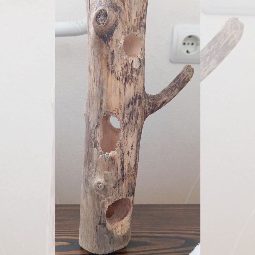 Коряга для аквариума