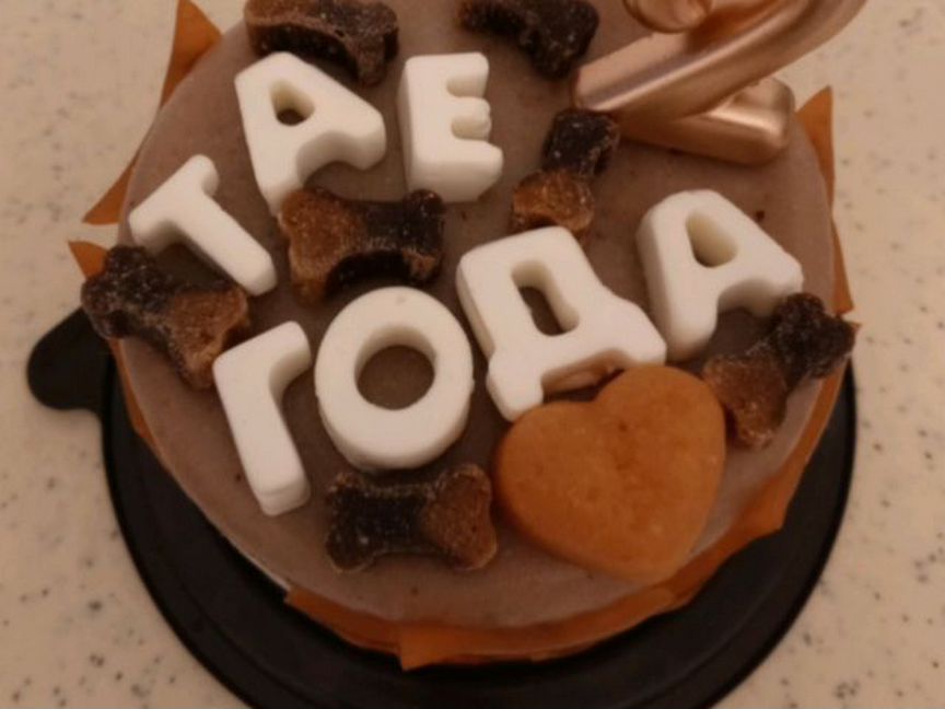 Тортики и капкейки для собак на заказ