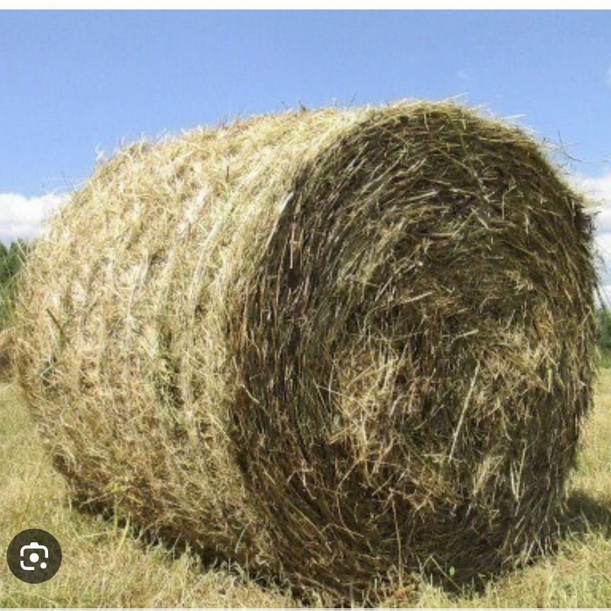 Сено в рулонах с доставкой