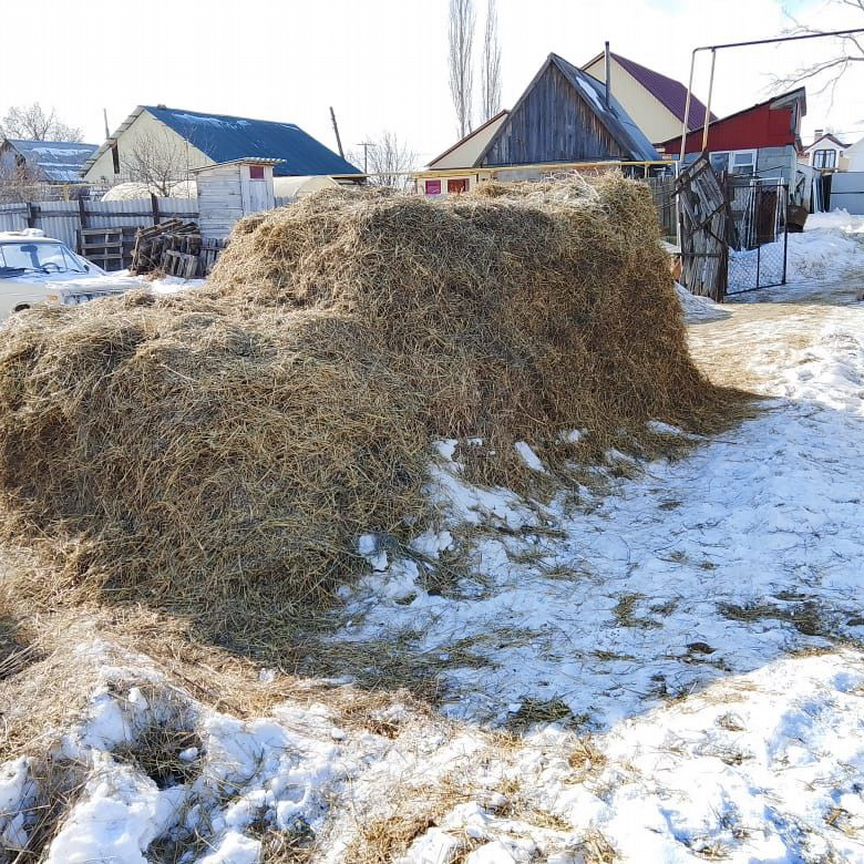 Остатки сена после крс