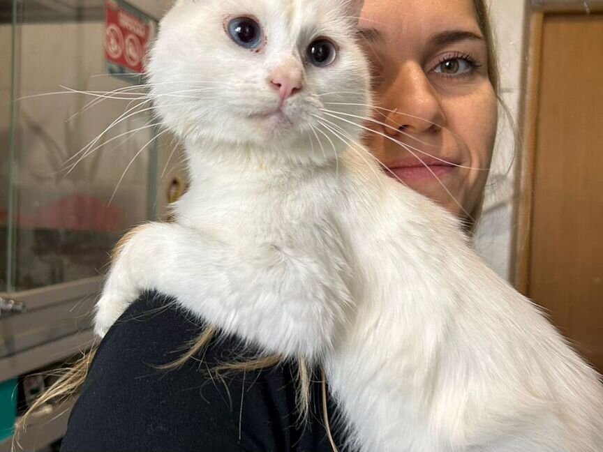 Белоснежная Ева