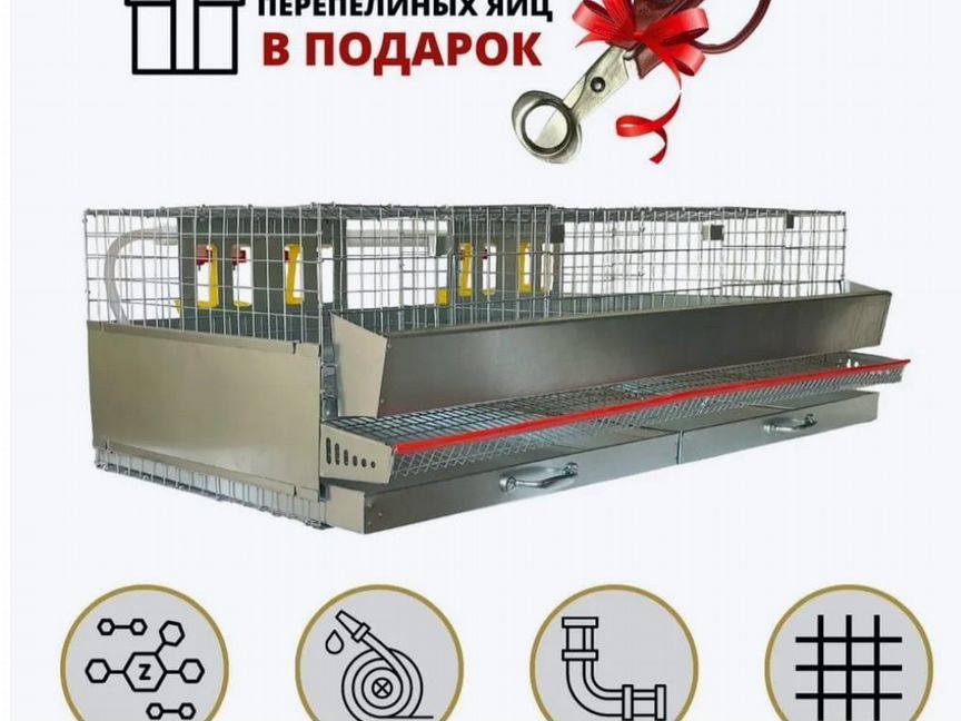 Клетка для перепелов на 50 голов