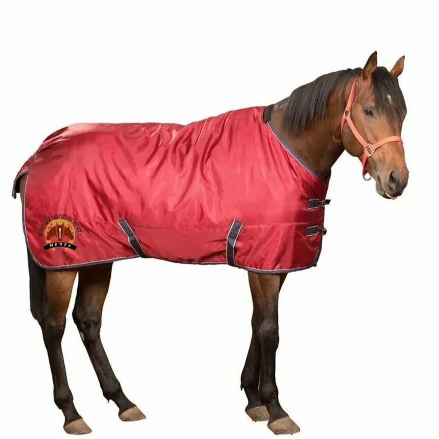 Попона для жеребенка