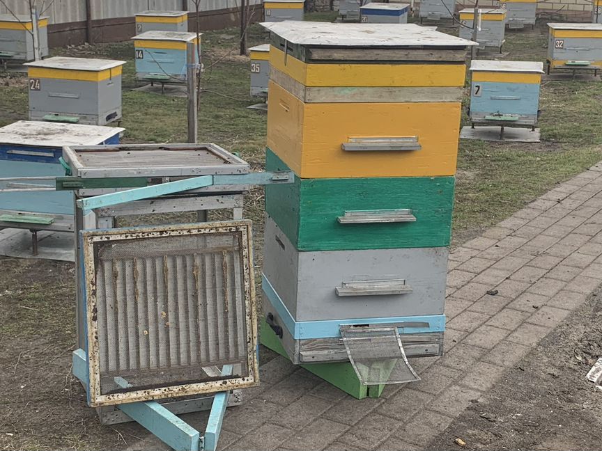Продажа ульев и суши