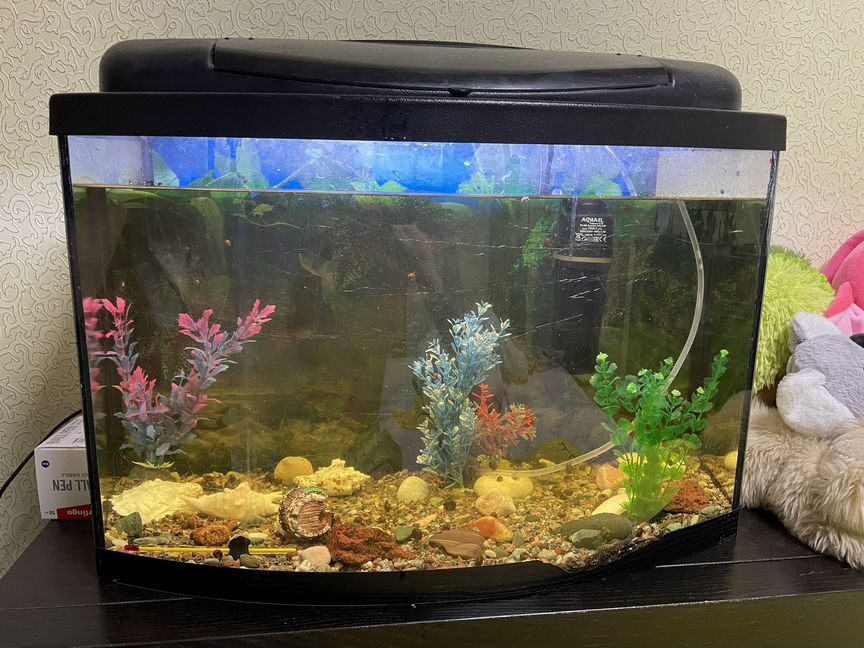 Аквариум 65 литров