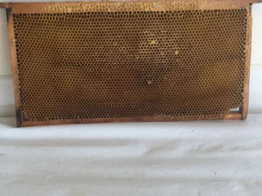 Рамки с сушью