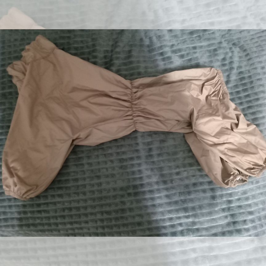 Одежда для собак