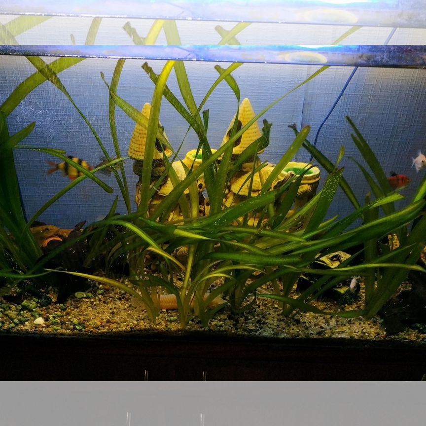 Украшение для аквариума