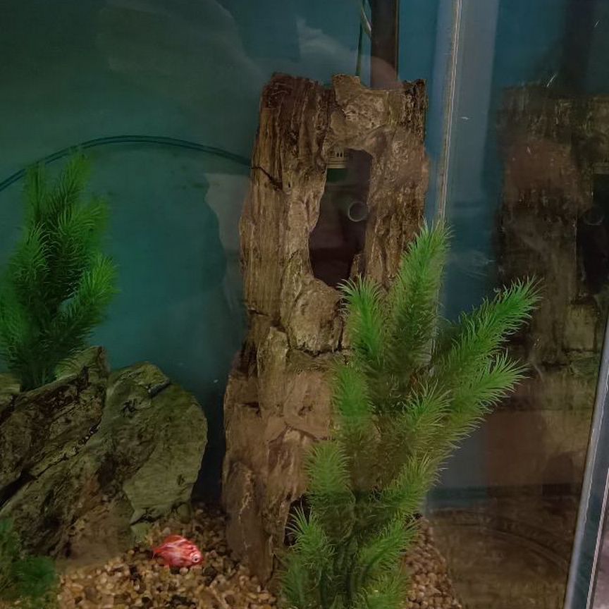 Аквариум с тумбой 800 литров