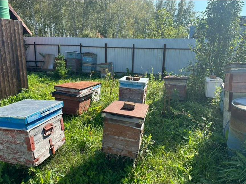 Продам ульи для пчел б/у