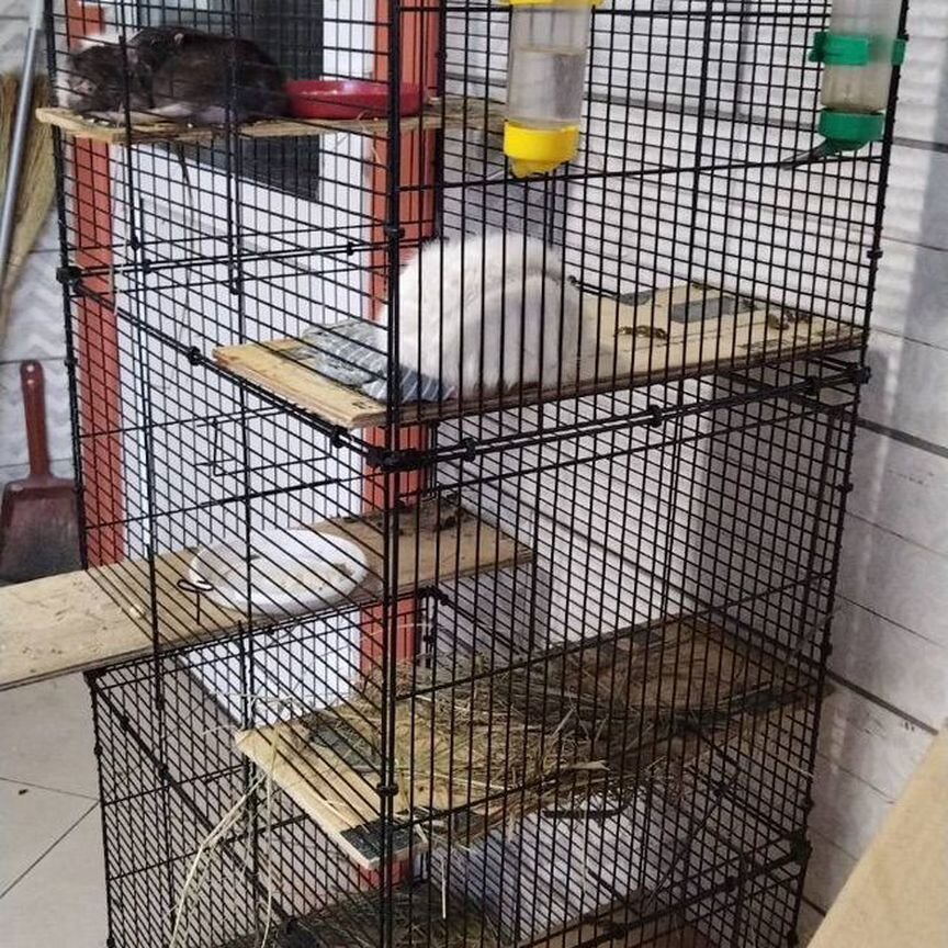 Клетка для шиншилы