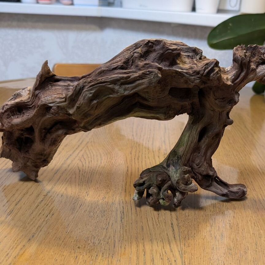 Коряга в аквариум дерево