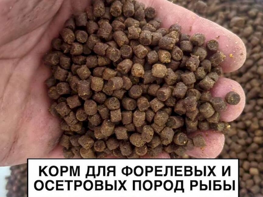 Корм для рыб