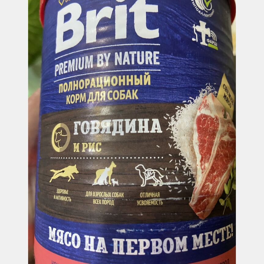 Корм для собак
