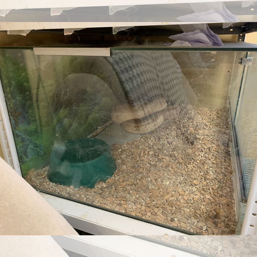 Террариум для рептилий