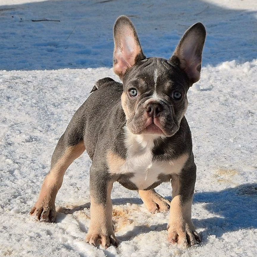 Мальчишечка