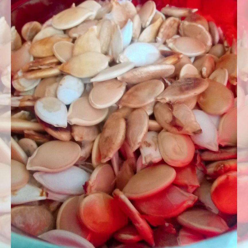 Тыквенные семечки