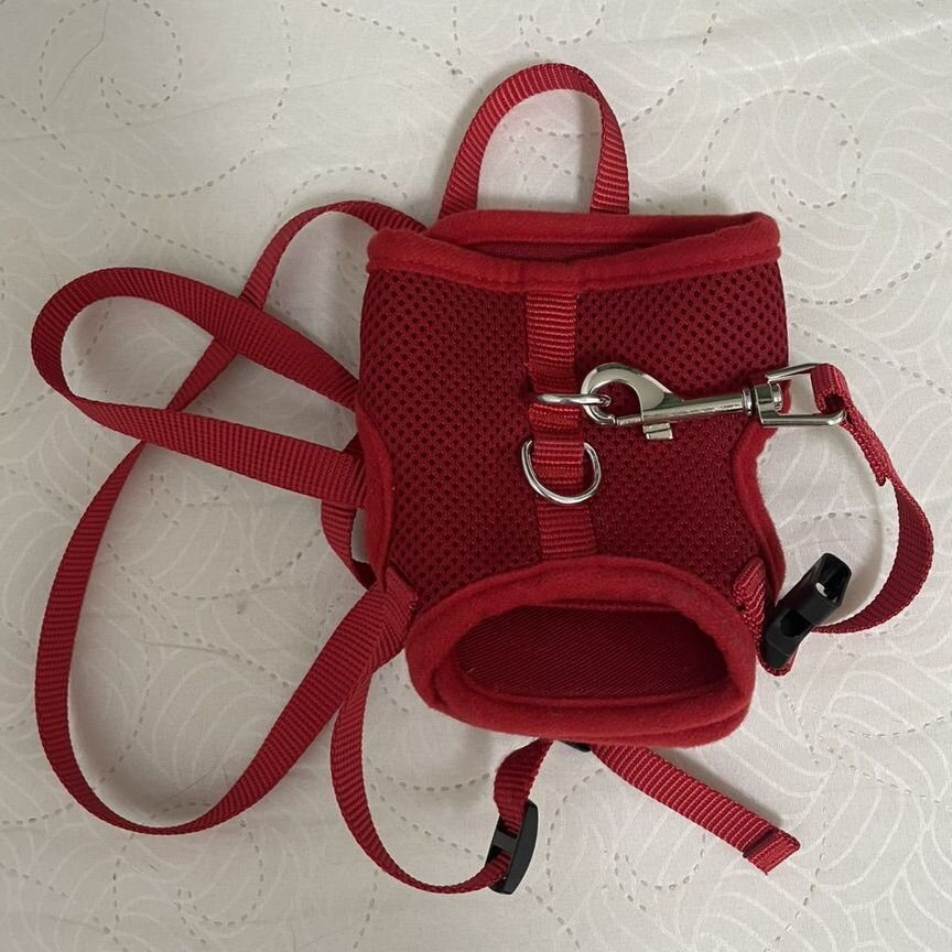 Ошейник для кошек