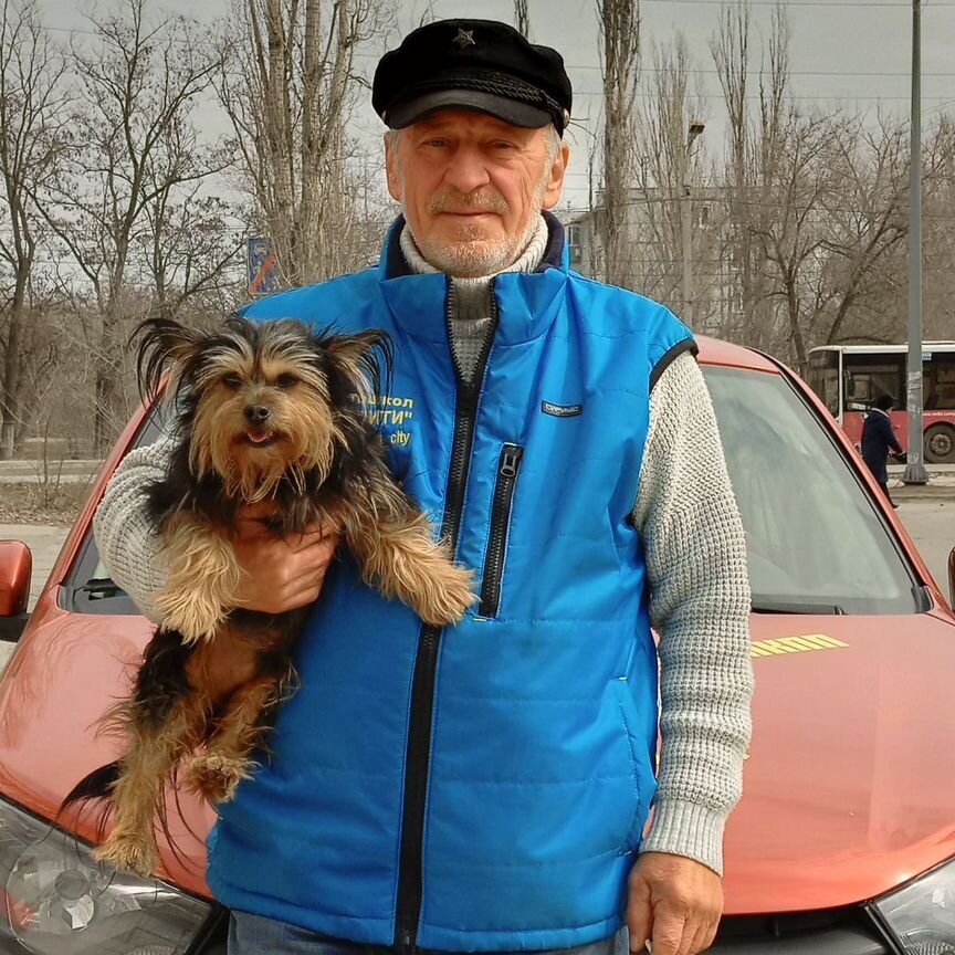 Домашние животные