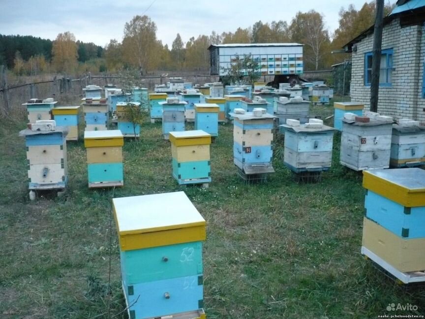 Продам, улья руто с рамками