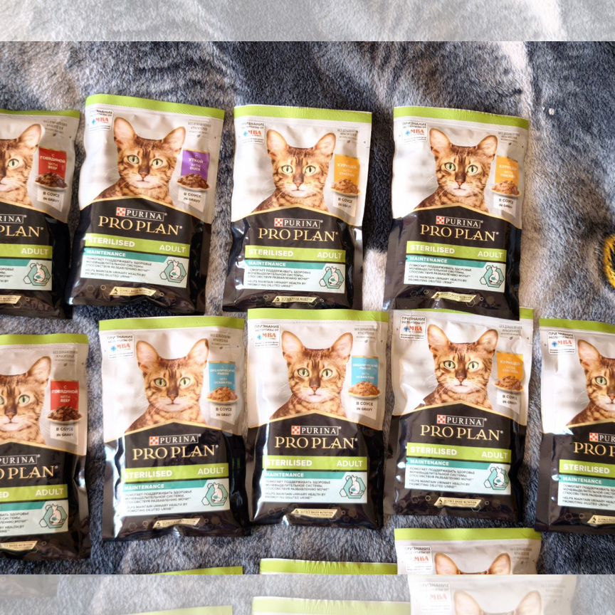 Корм для кошек ProPlan