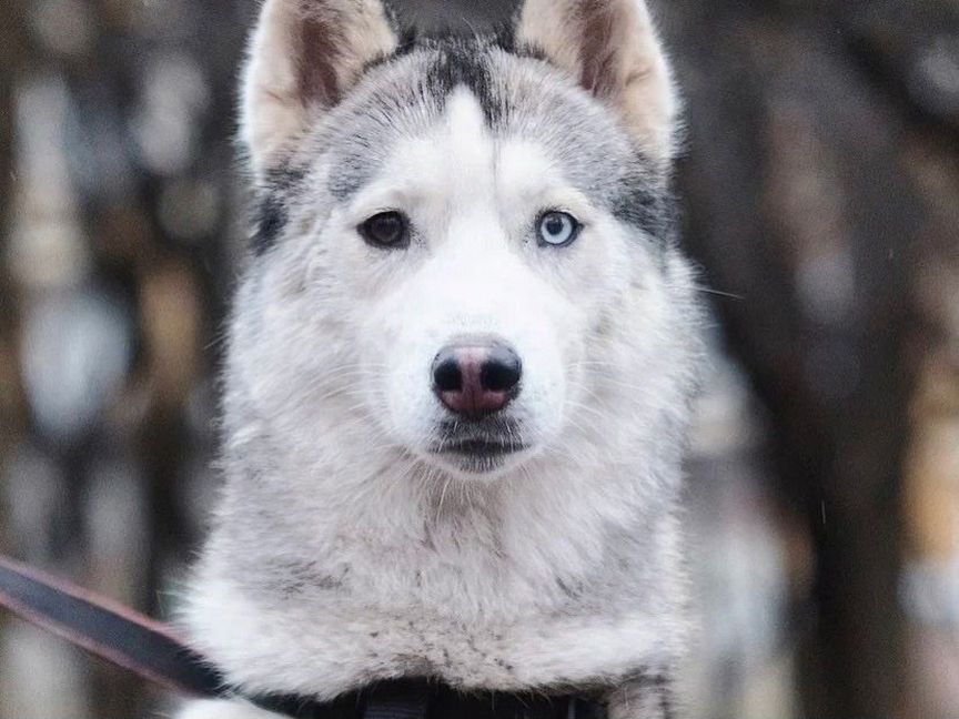 Ослепительная красавица Эмми ждет свою семью