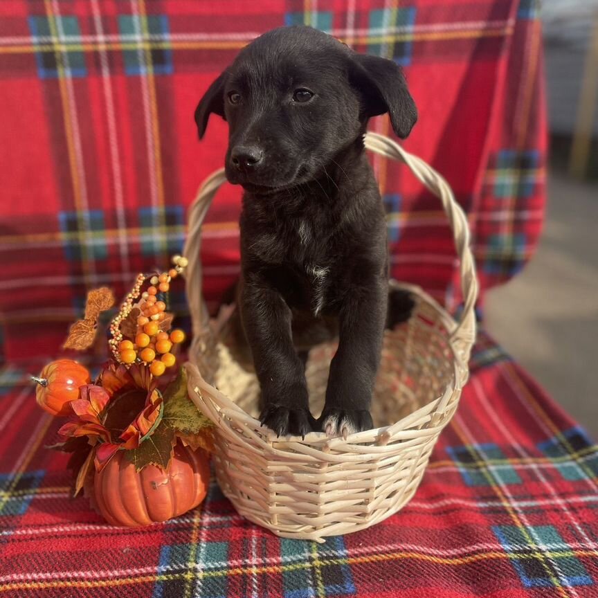 На фото Барби кажется больше