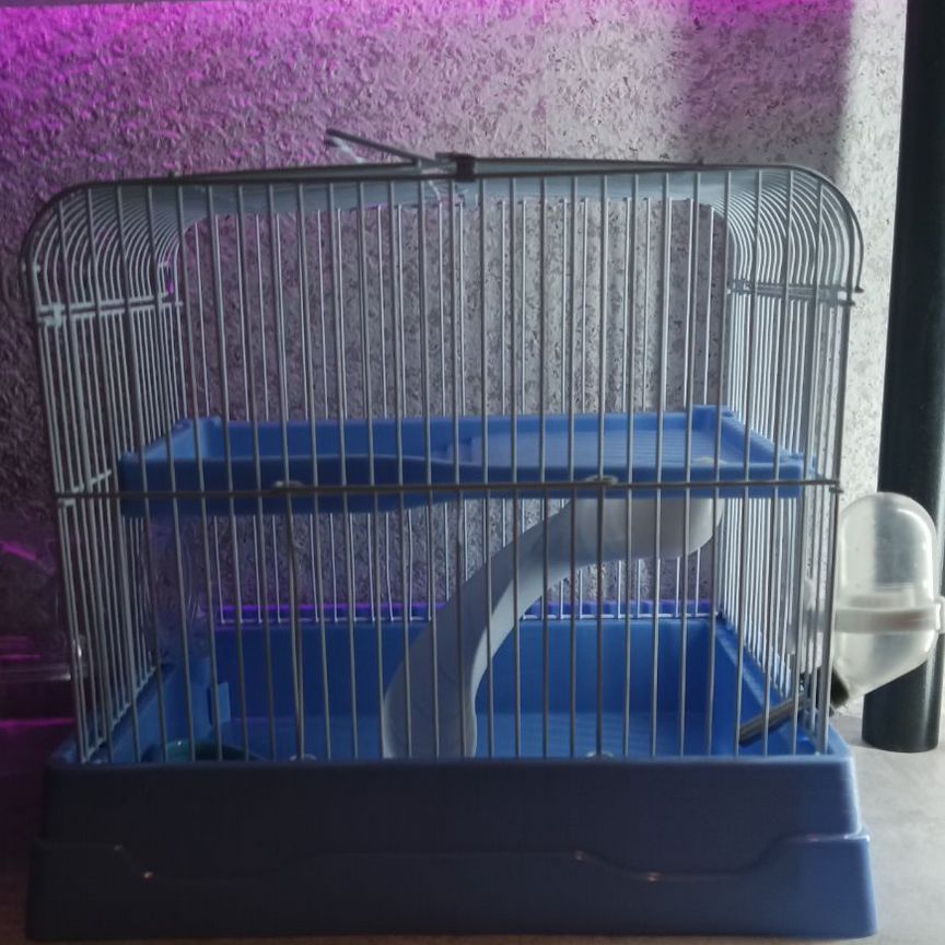 Клетка для грызунов