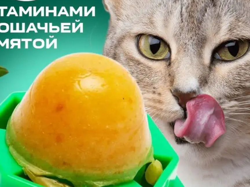 Леденец для кошек, с кошачьей мятой. Опт