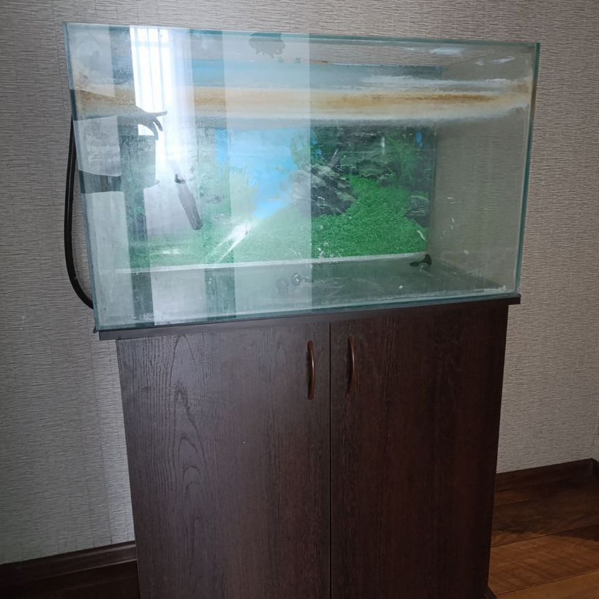 Аквариум с тумбой   фильтр