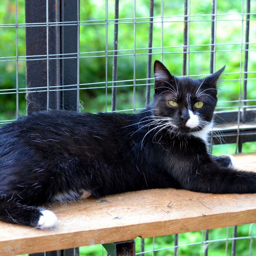 Эрика ищет дом