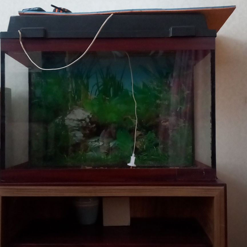 Аквариум с тумбой бу