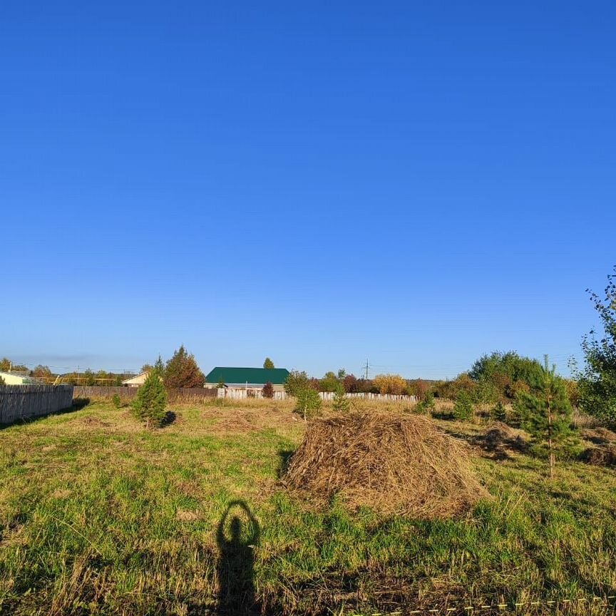 Сено бесплатно