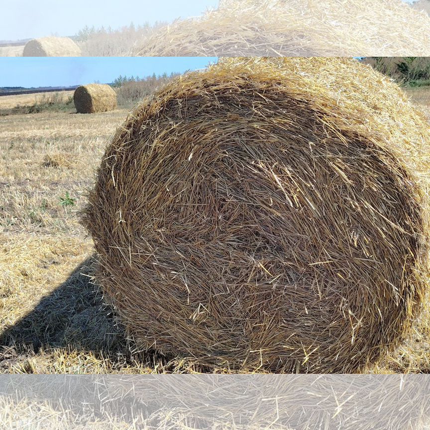 Солома ячменная в рулонах