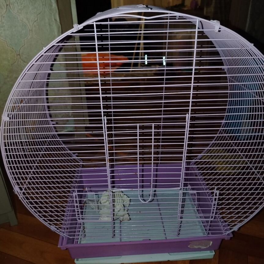 Клетка