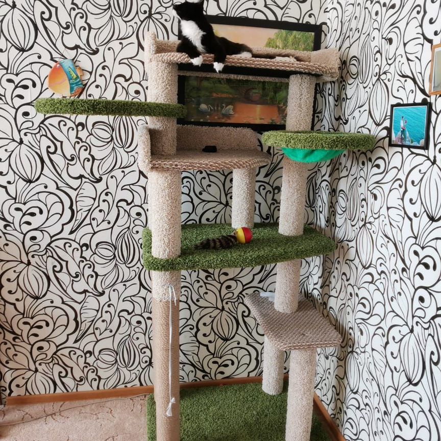 Кошачий домик с когтеточкой