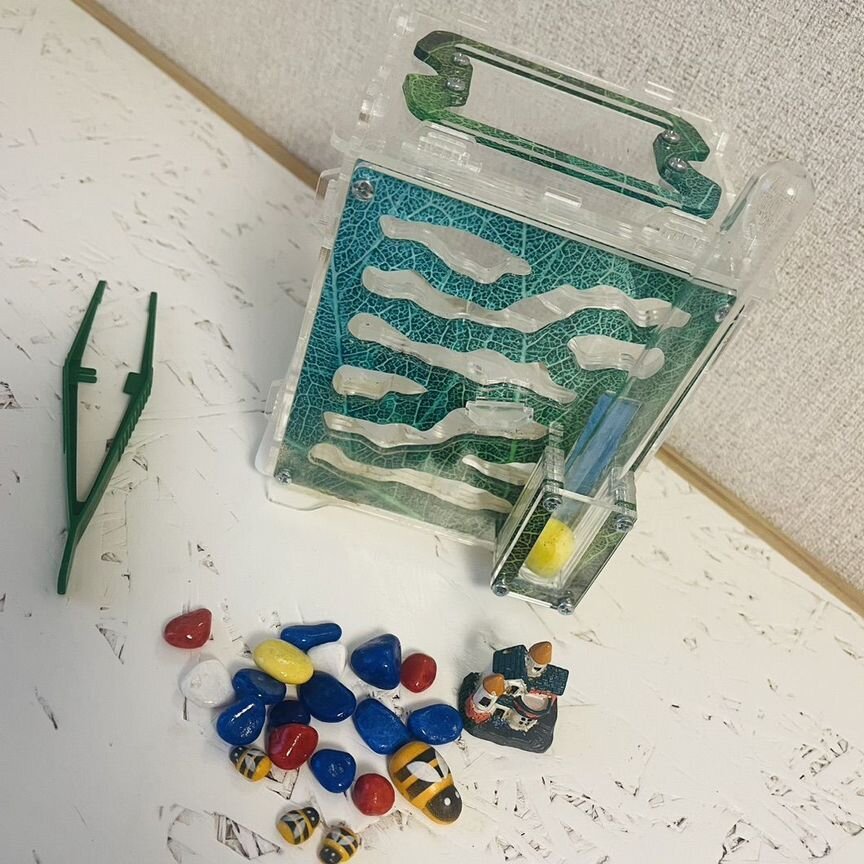 Формикарий для муравьев