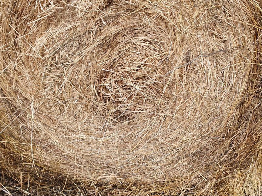 Сено в рулонах