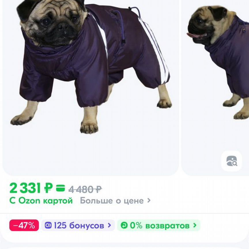 Зимний комбинезон для мопса