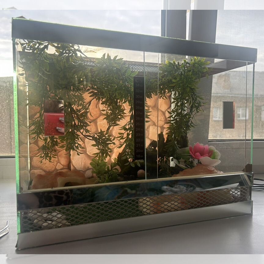 Террариум для рептилий