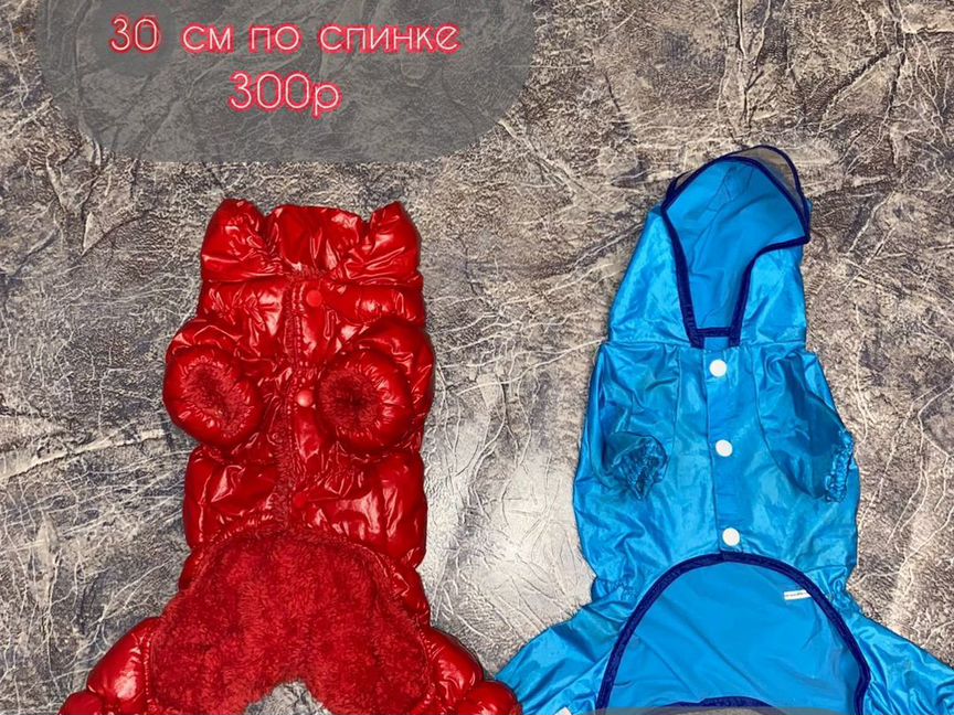 Одежда для собак