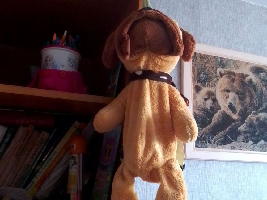 Маленькая собака