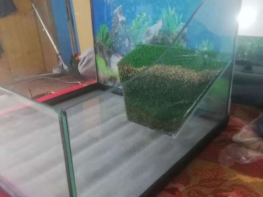 Аквариум для красноухой черепахи