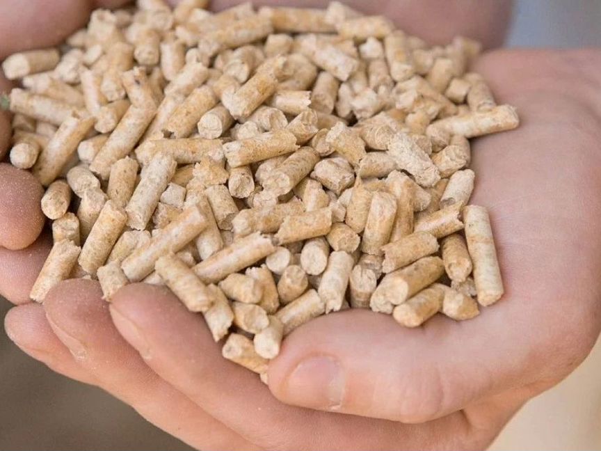 Древесный наполнитель для кошачьего туалета