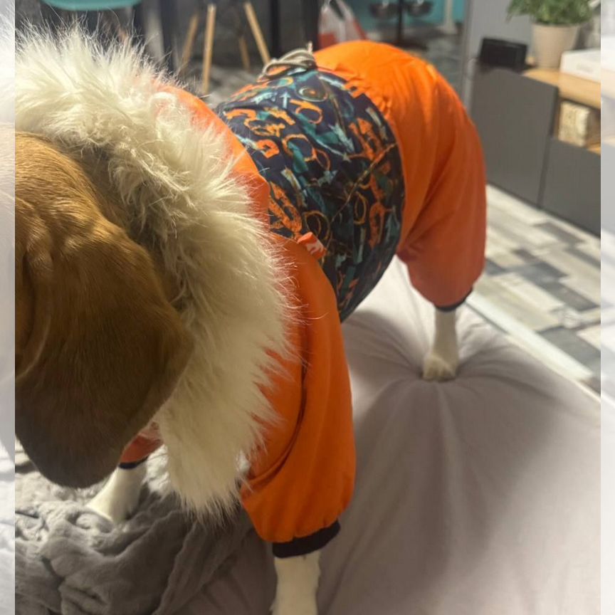 Зимний комбинезон для средней собаки