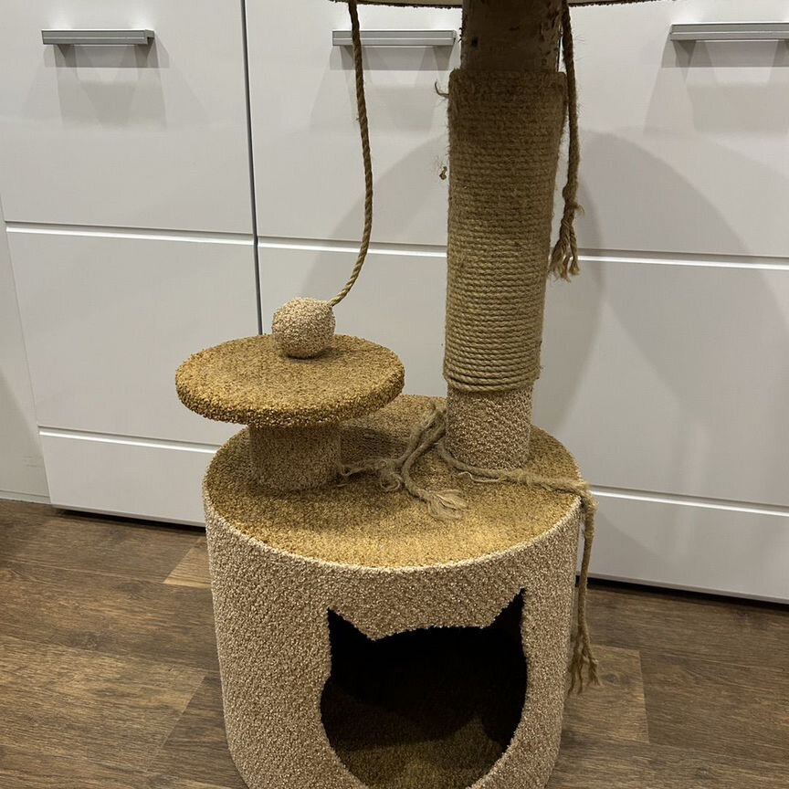 Когтеточка