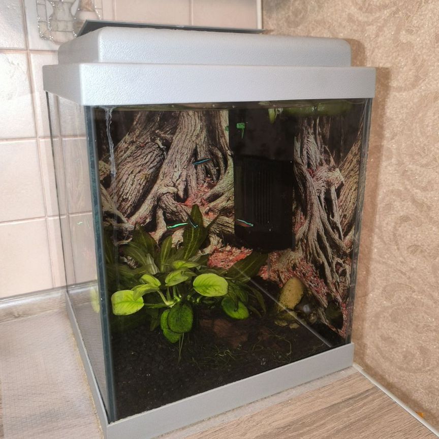 Аквариум 20 литровый