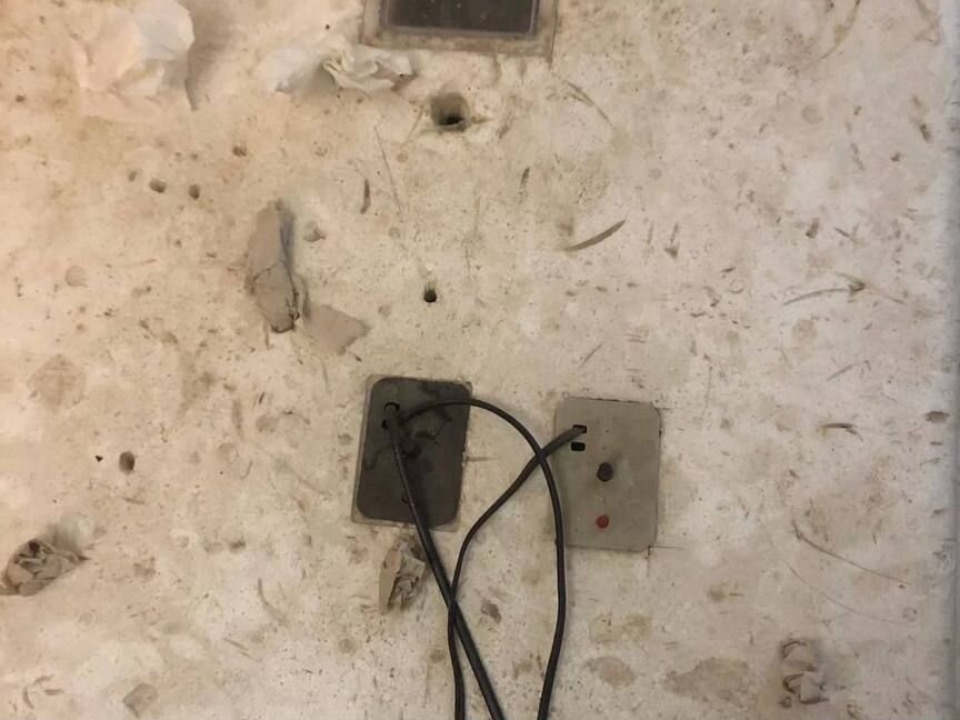 Инкубатор для яиц