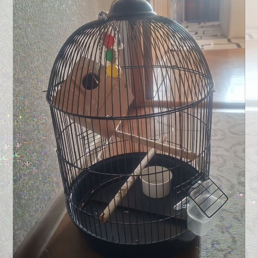Клетка для попугая