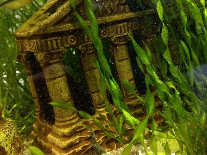 Украшение для аквариума